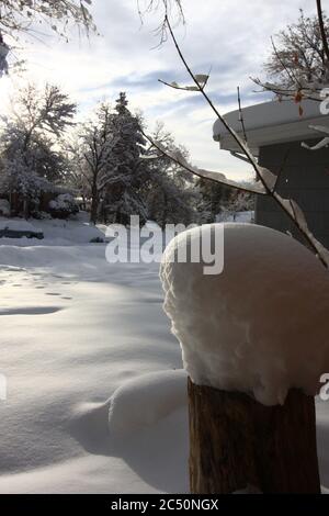 Major 12 inch powered fluffy light snow storm in Littleton Colorado ...
