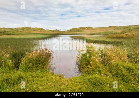 Forvie National Nature Reserve, Aberdeenshire, Scotland Stock Photo - Alamy