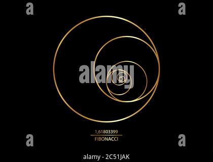 Golden ratio sign. Logarithmic spiral in rectangle. Nautilus shell ...