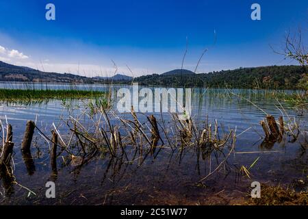 Beautiful scenery of a loch with green plants by the sea during daytime ...