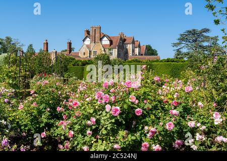 The rose garden and house at Loseley Park. Surrey, UK during June Stock ...