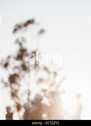 Side view of American football players on field Stock Photo - Alamy