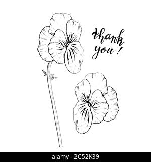 Hand drawn pansy flowers monochrome clipart. Floral design element ...