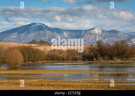 Nature reserve of river Turiec in Slovakia Stock Photo - Alamy