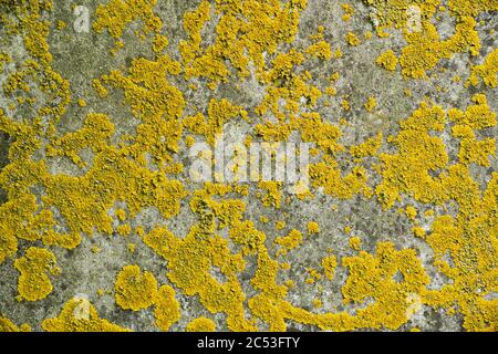 Abstract weathered texture of old grunge brick wall, background Stock ...