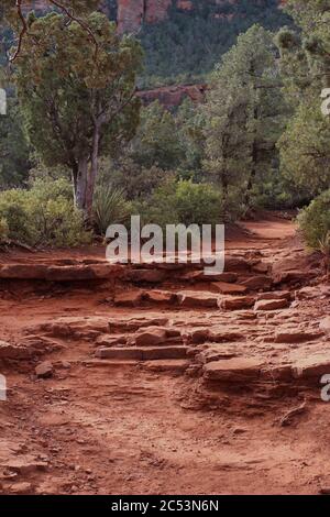 The red rocky, dirt path lined with evergreen trees and shrubs on the ...