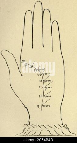 Indian Palmistry Plate 4 Stock Photo - Alamy