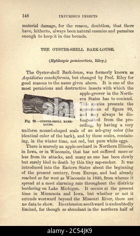 Injurious insects of the farm and garden (Page 191 Stock Photo - Alamy