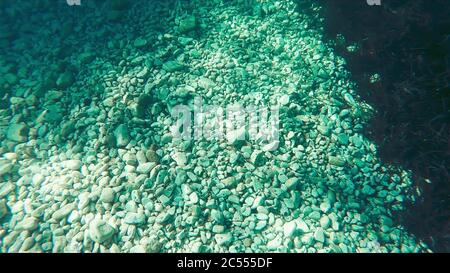 Underwater marine life, Italian ocean Stock Photo - Alamy