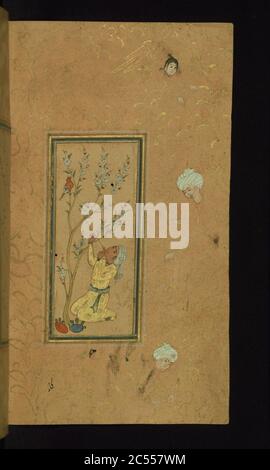 Iranian - Young Man Playing Flute with Singing Bird Perched in a ...