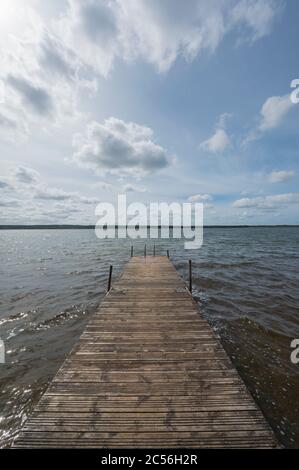 Lake with reeds in summer, Vandet So, Thisted, Nationalpark Thy, North ...