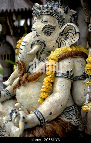 Hindu elephant-headed god Ganesha, Ganesh or Ganpati mounted on a rat ...