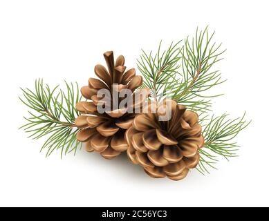 Vector Spruce Branch as an Element of New Year's Decor Stock Vector ...