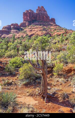 Amazing shot of the Bell Rock landscape in Arizona, USA Stock Photo - Alamy