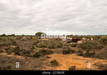 Koonalda Homestead Vintage Vehicle Graveyard Australia Outback Stock ...