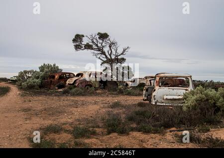 Koonalda Homestead Vintage Vehicle Graveyard Australia Outback Stock ...