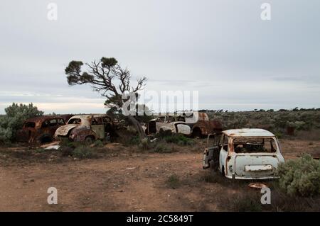 Koonalda Homestead Vintage Vehicle Graveyard Australia Outback Stock ...