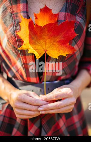 autumn - girl holds a red leaf Stock Photo - Alamy