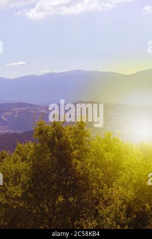 River in the forest in agva , Turkey Stock Photo - Alamy