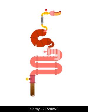 Metal digestive tract. Iron stomach and intestines. Robotic internal ...