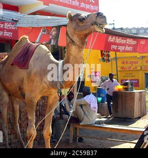 Rajasthan, India - October 06, 2012: A landscape surrounding abandoned ...