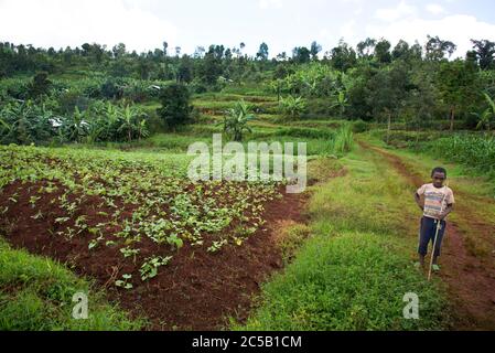 Gisuma Washing station and farmers of the collective Stock Photo - Alamy