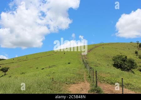 Closeup shot of a mountainous green field with random trees - perfect ...