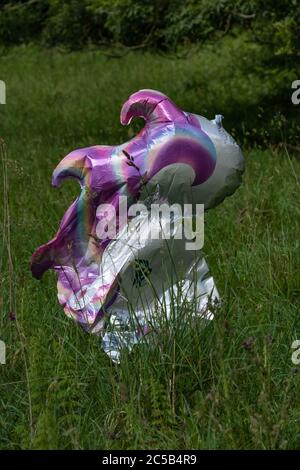 Balloon litter. A balloon has landed in a field. Released balloons can ...