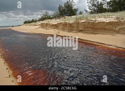Tea Tree Creek, Fraser Island Stock Photo - Alamy