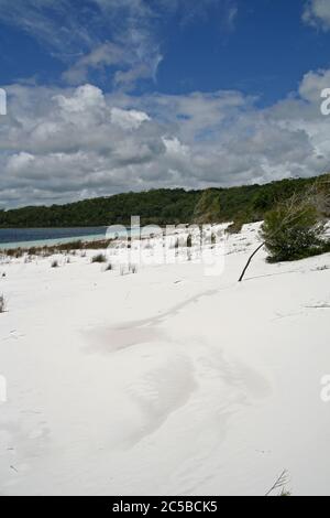 Lake Birrabeen, Fraser Island Stock Photo - Alamy