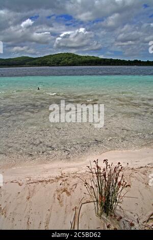 Lake Birrabeen, Fraser Island, Queensland, QLD, Australia Stock Photo ...