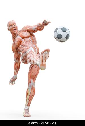 muscleman anatomy heroic body kicking the football ball in white ...