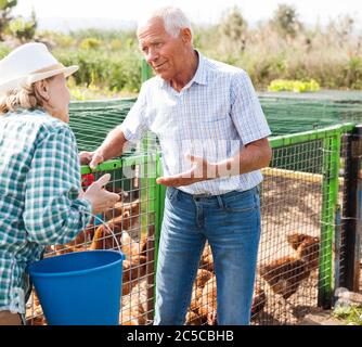 Smiling mature female and male proffesional farmers near chicken house ...