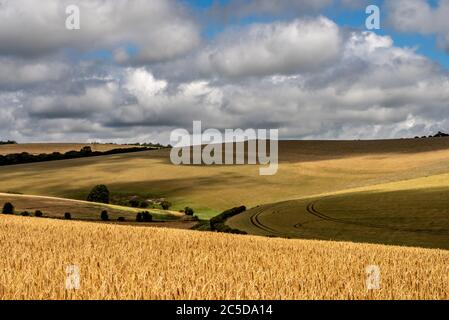 Brighton UK July 1st 2020: The countryside at Falmer, on the outskirts ...