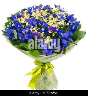 a bouquet of irises on a white background, isolated, blue irises Stock ...