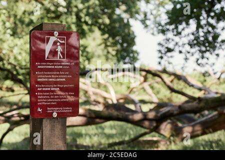 Beware of Falling Trees Stock Photo - Alamy