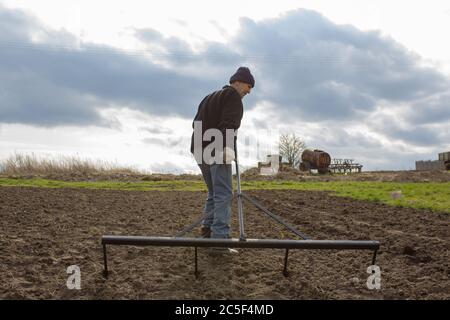 man makes marks on planting potato rake Stock Photo - Alamy