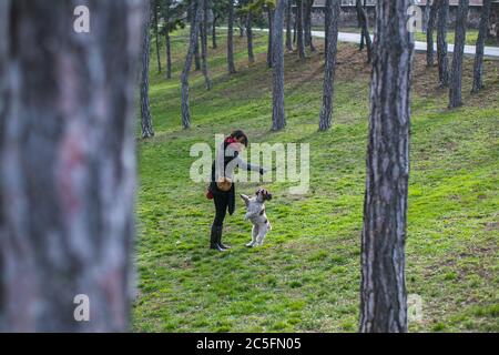 Woman playing with her dog in park Stock Photo - Alamy