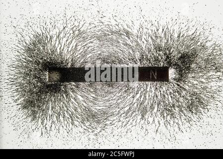 Magnetic field. Iron filings aligned along the magnetic field lines ...