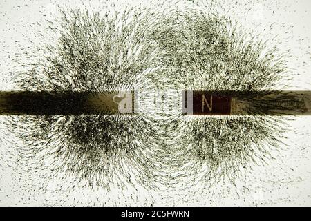 Magnetic field. Iron filings aligned along the magnetic field lines ...
