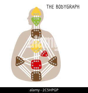 Human Design BodyGraph chart. Nine colored energy centers, planets ...