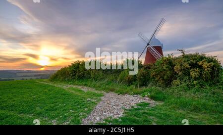 halnaker tunnel of trees in west sussex, england Stock Photo - Alamy