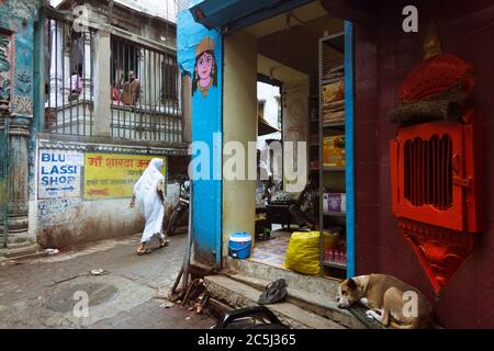 Street scene, varanasi, uttar pradesh, india Stock Photo - Alamy