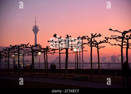 Evening scenery on the Rhine, Rheinturm tv tower, Rheinkniebruecke ...