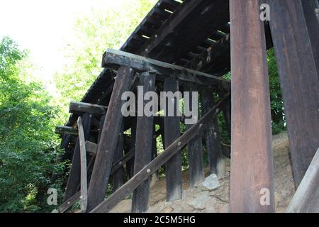 Wooden beams of a railway bridge or train trestle in the lush forest of ...