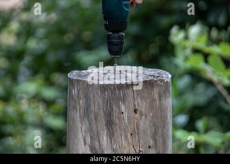 Cordless screwdriver turns a screw into a tree stump Stock Photo - Alamy
