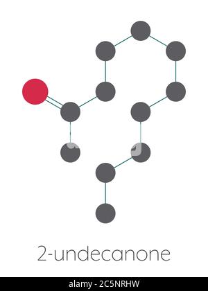 Methyl nonyl ketone (2-undecanone) insect repellent molecule. Skeletal ...