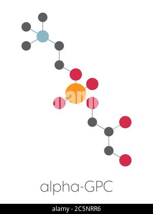 Alpha-GPC (L-Alpha glycerylphosphorylcholine, choline alfoscerate ...