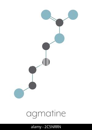 Agmatine molecule. Stylized skeletal formula (chemical structure ...