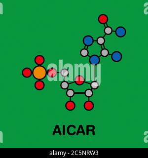AICA ribonucleotide (AICAR) performance enhancing drug molecule. Used ...
